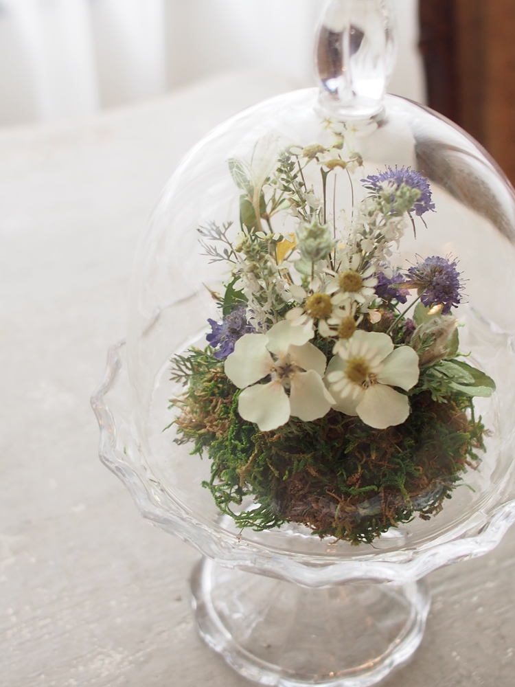 いよいよ全国にてドライボタニカルコーススタートです！ | フラワーエデュケーションジャパン